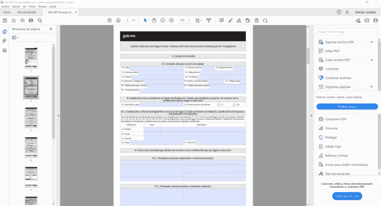 AM-SRT Formato Editable PDF - Angellomix